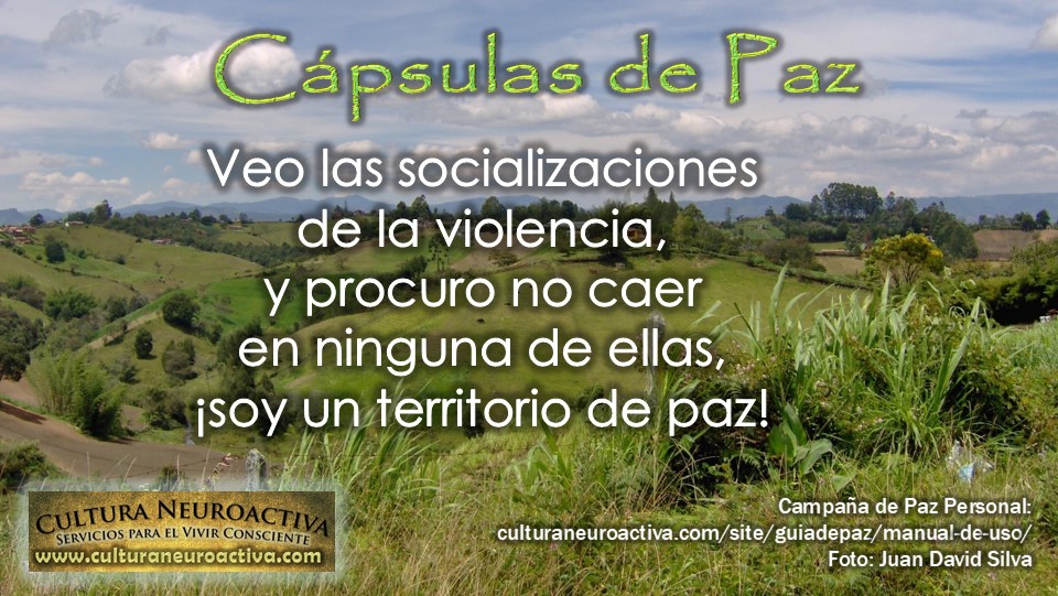 No Caer en las Socializaciones de la Violencia - Guia de Paz Personal